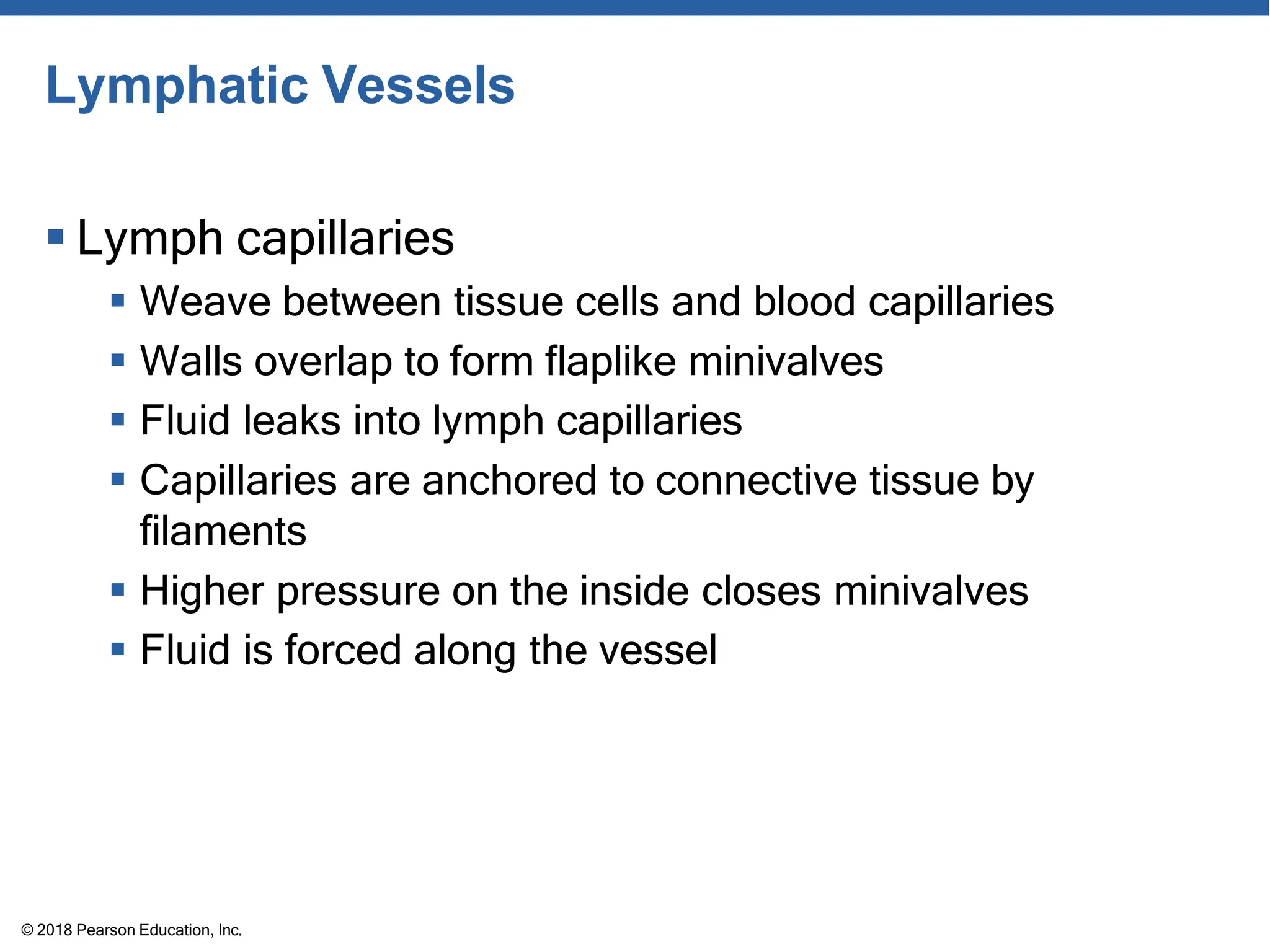 CHAPTER 12 Lymphatic System.pptx 123323423 | PPTX