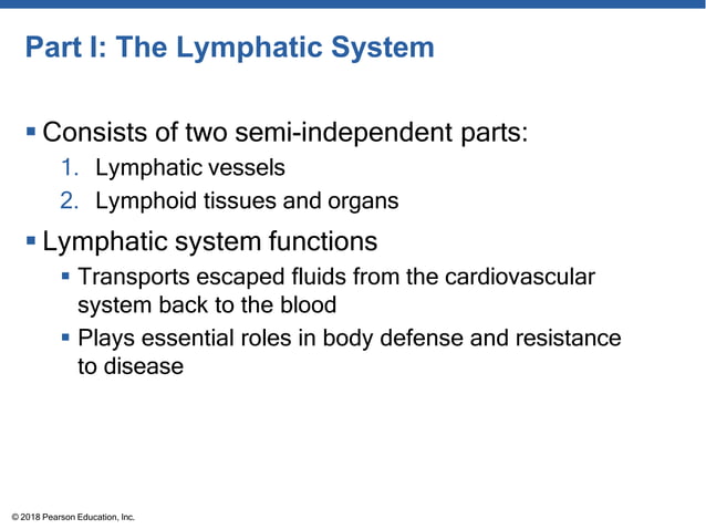 CHAPTER 12 Lymphatic System.pptx 123323423 | PPTX