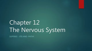 Chapter 12 Nervous System | PPT