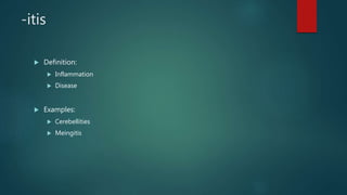 Chapter 12 Nervous System | PPT