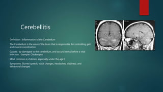 Chapter 12 Nervous System | PPT