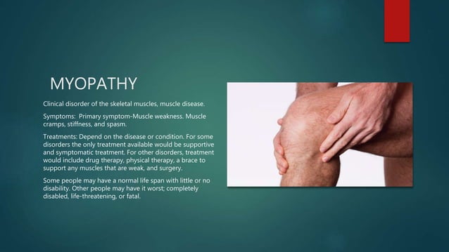 Chapter 12 Nervous System | PPT