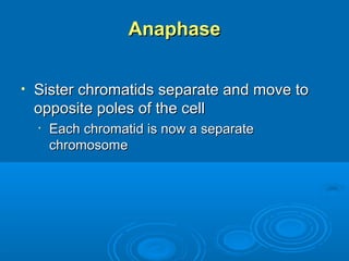 Chapter12 mitosis meiosis | PPT