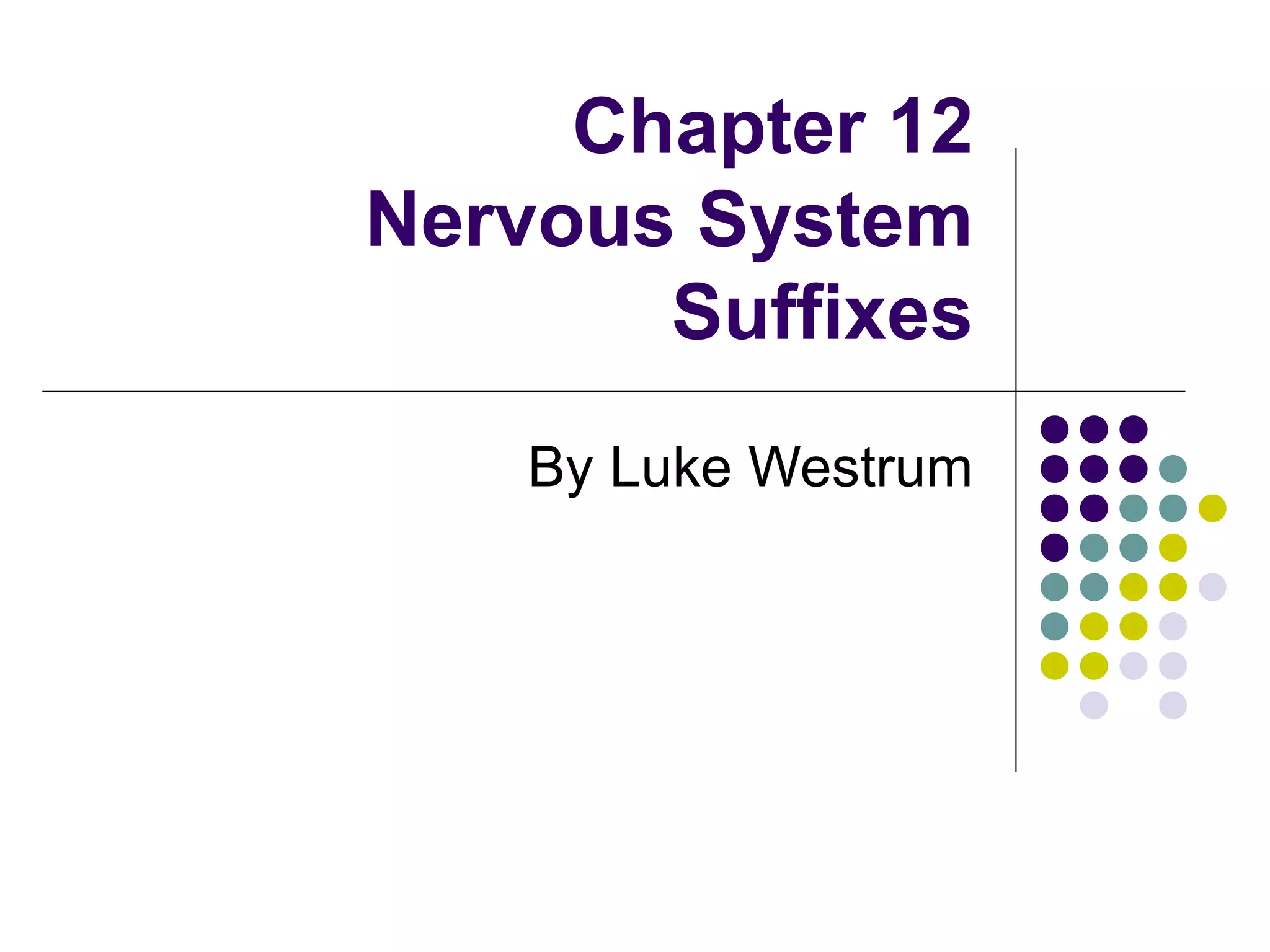 Chapter 12 nervous system | PPT | Death, Injury, or Military Conflict ...