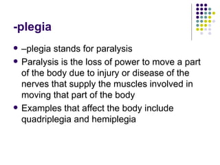 Chapter 12 nervous system | PPT