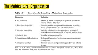Chapter 12 Organizational Diversity Processes | PDF
