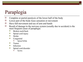 Chapter 12: The Nervous System | PPT