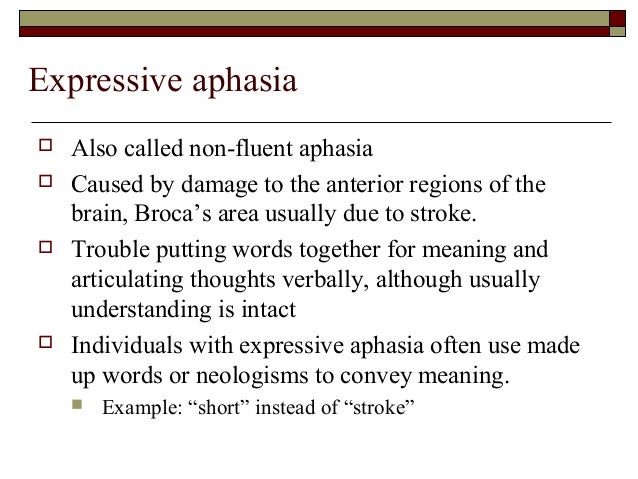 Chapter 12: The Nervous System