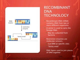 Chapter 12 DNA Biotechnology and Genomics | PPTX