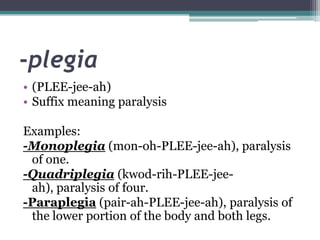 Chapter 12 presentation | PPT