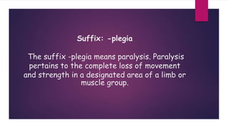 Chapter 12 presentation- The Nervous System | PPT