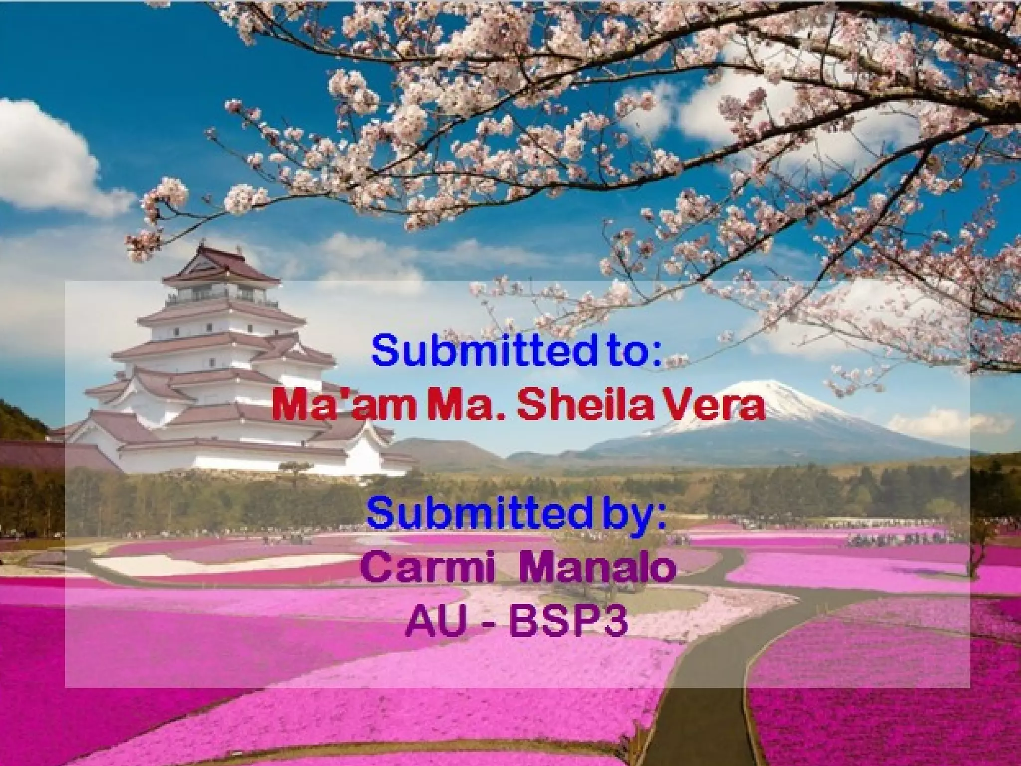 Chapter 12: Romantic Interlude in Japan | PPT