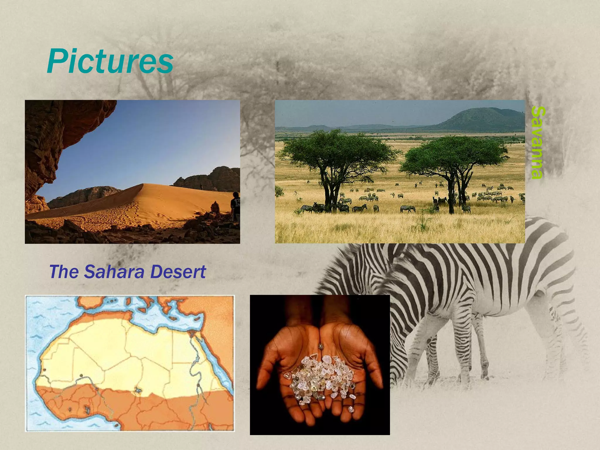 Chapter 12 – section 1 - FINAL | PPT