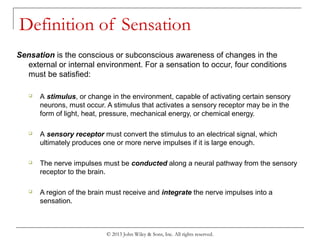 Chapter 12 somatic senses and special | PPT