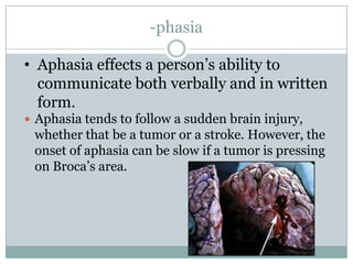 Chapter 12 suffixes | PPT