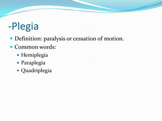Chapter 12 Presentation: Nervous System Suffixes | PPT