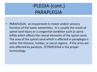 Chapter 12 The Nervous System | PPTX