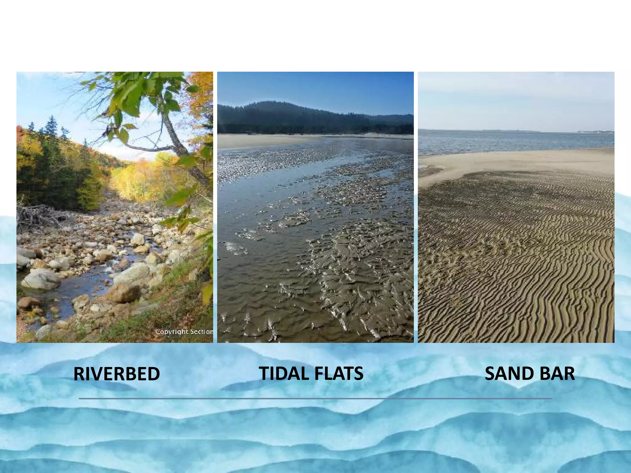 Water Code of the Philippines | PDF