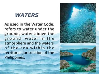Water Code of the Philippines | PDF