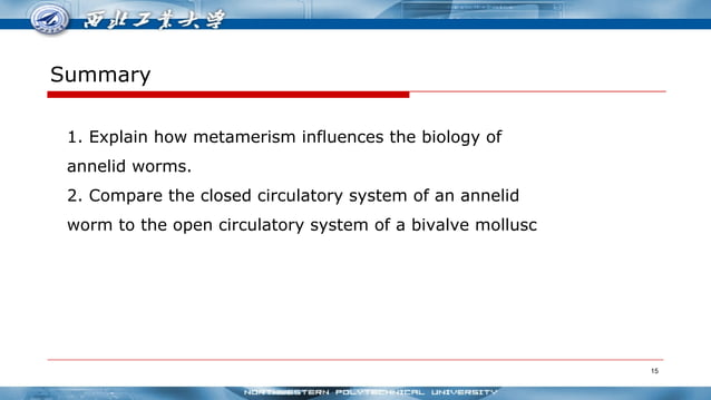 Annelida: the metameric and tagmatization of animals | PDF | Biological ...