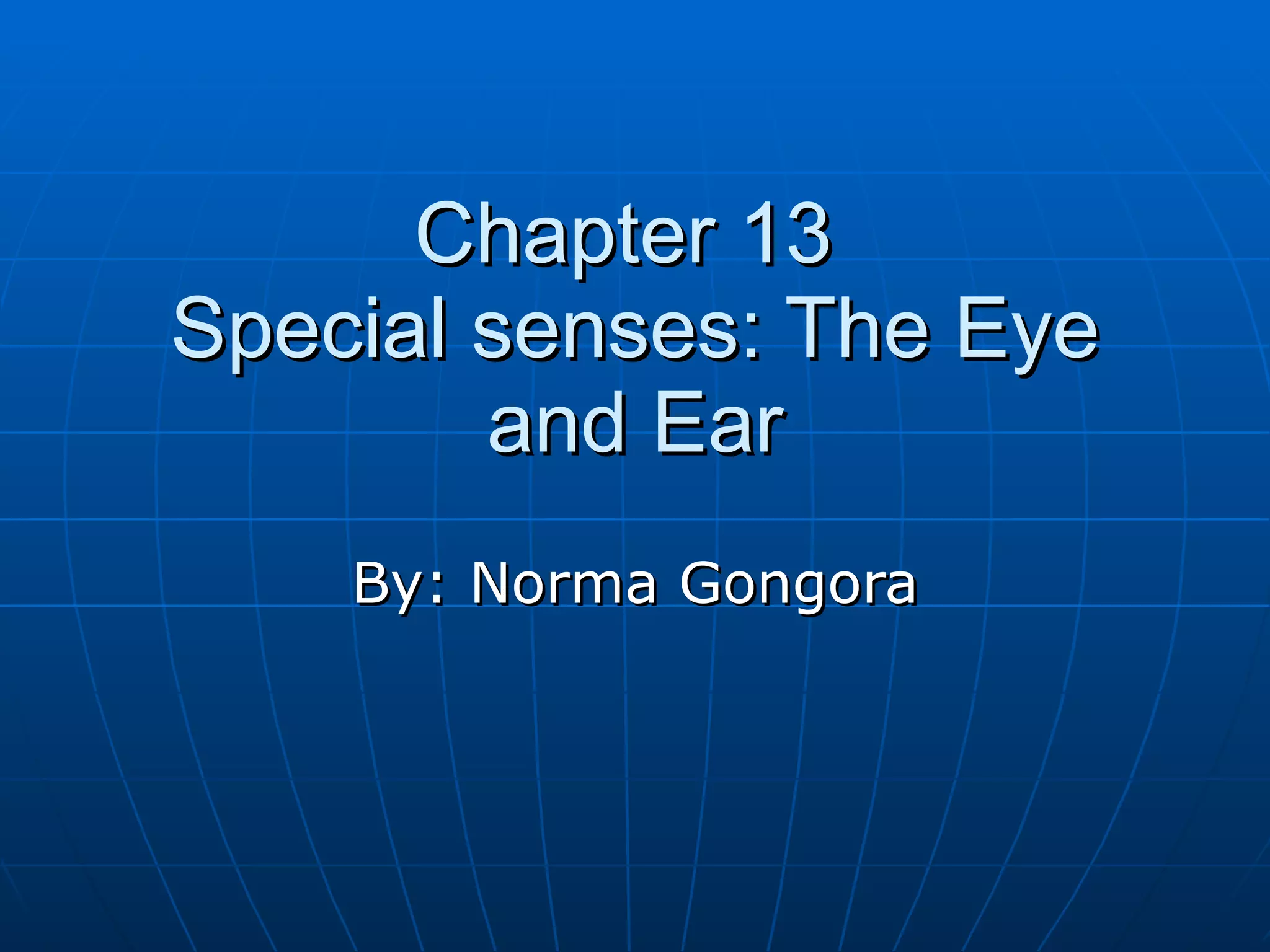 Chapter 13 | PPT