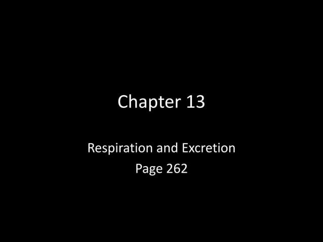 Chapter 13 | PPT