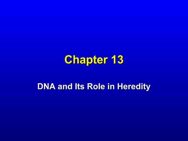 Chapter 13 | PPT