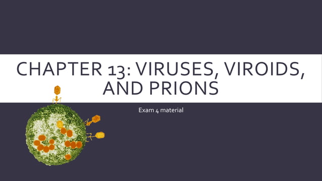 Chapter 13 Viruses, Viroids, and Prions | PDF