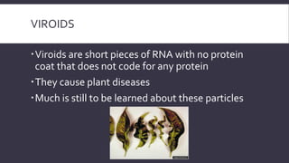 Chapter 13 Viruses, Viroids, and Prions | PDF