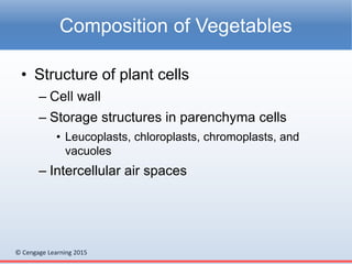 Chapter 13 - Vegetables and Legumes | PPTX
