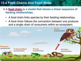 Chapter_13.pptx | Biological Sciences | Science