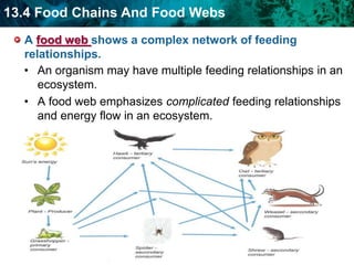 Chapter_13.pptx | Biological Sciences | Science