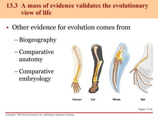 chapter 13 : how populations evolve?ppt | PPT