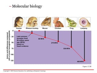 chapter 13 : how populations evolve?ppt | PPT