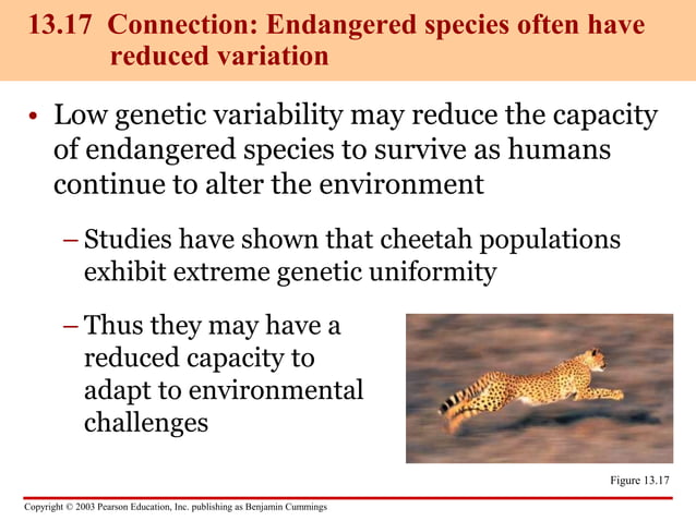 chapter 13 : how populations evolve?ppt | PPT | Free Download