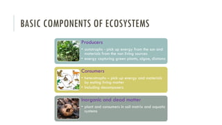 Bio464 Chapter 13 : Ecosystems Ecologyyy | PPT