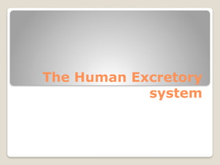 Chapter 13.1- EXCRETION IN HUMANS IGCSE BIO | PPTX