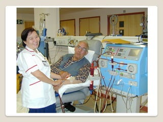 Chapter 13.1- EXCRETION IN HUMANS IGCSE BIO | PPTX