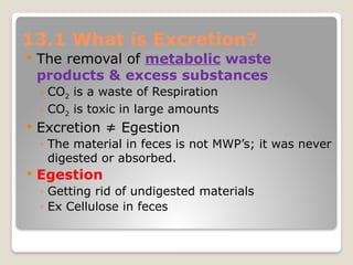 Chapter 13.1- EXCRETION IN HUMANS IGCSE BIO | PPTX
