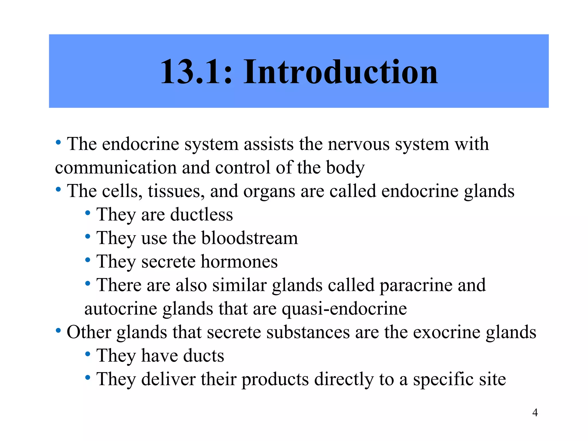 Chapter 13 Endocrine System | PPT