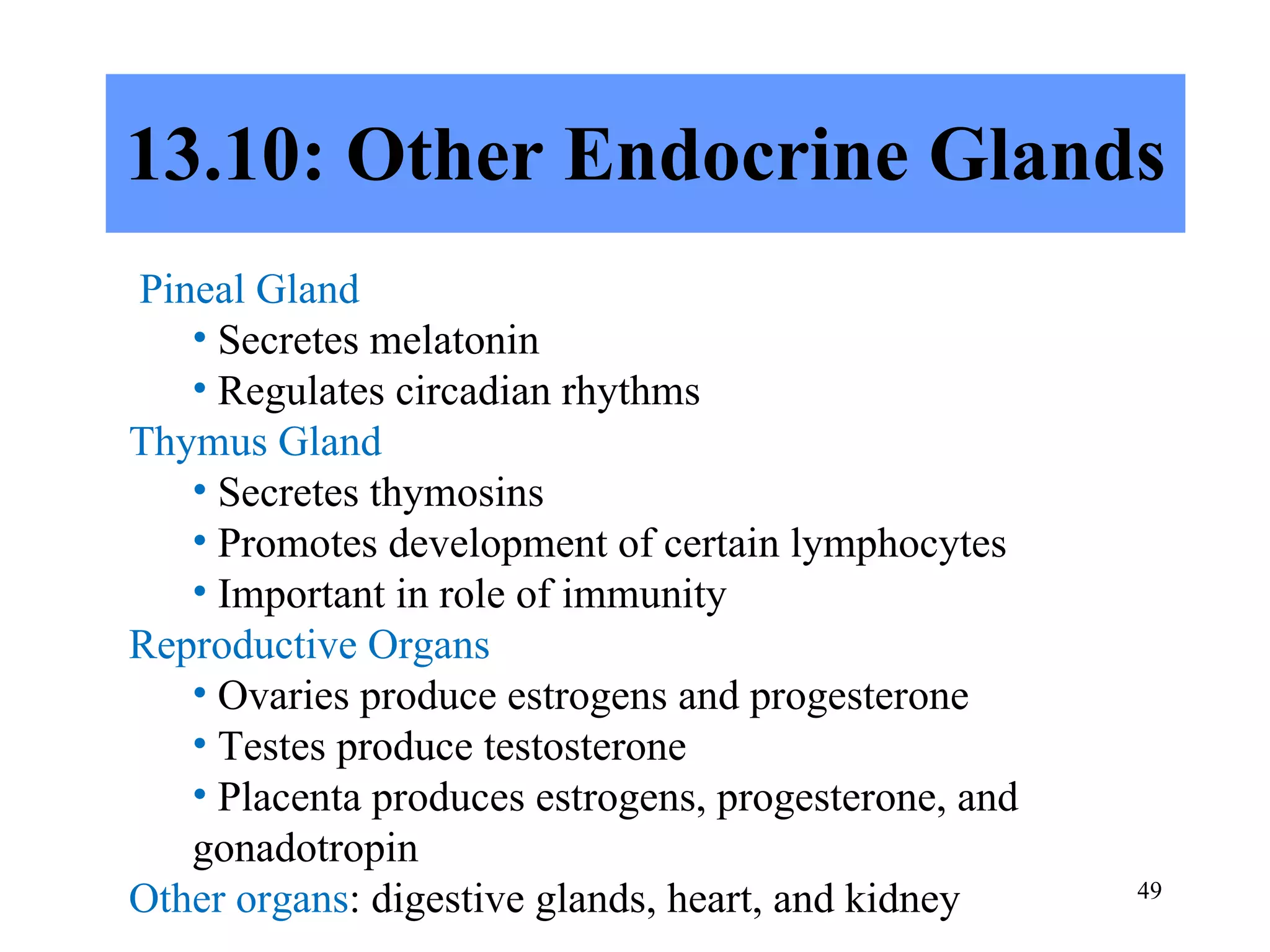 Chapter 13 Endocrine System | PPT