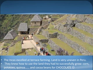 Chapter 13-Exploration & Discovery | PPTX