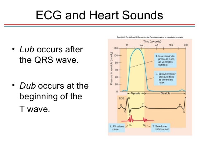 Chapter 13&14 lecture-1
