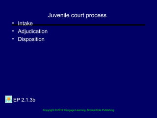 Chapter 13 The Role of Social Work in the Criminal Justice System | PPT