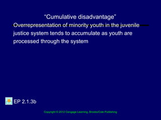 Chapter 13 The Role of Social Work in the Criminal Justice System | PPT