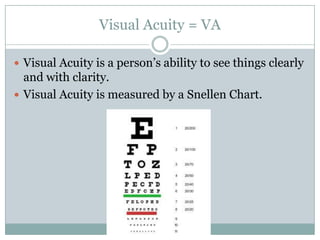 Chapter 13_ Abbreviations | PPTX