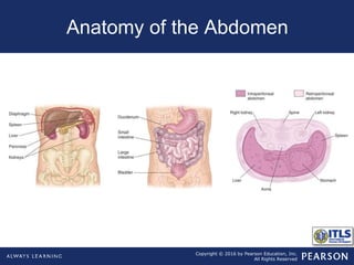 Chapter13 abdominal trauma | PPT