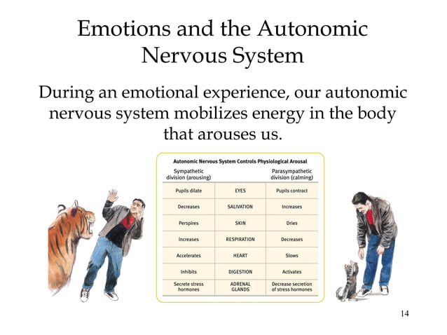 Chapter 13 and 14 emotions, stress, and health | PPT