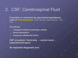 Chapter13 cns part2marieb | PDF