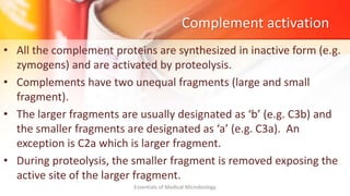 Complement.pptx